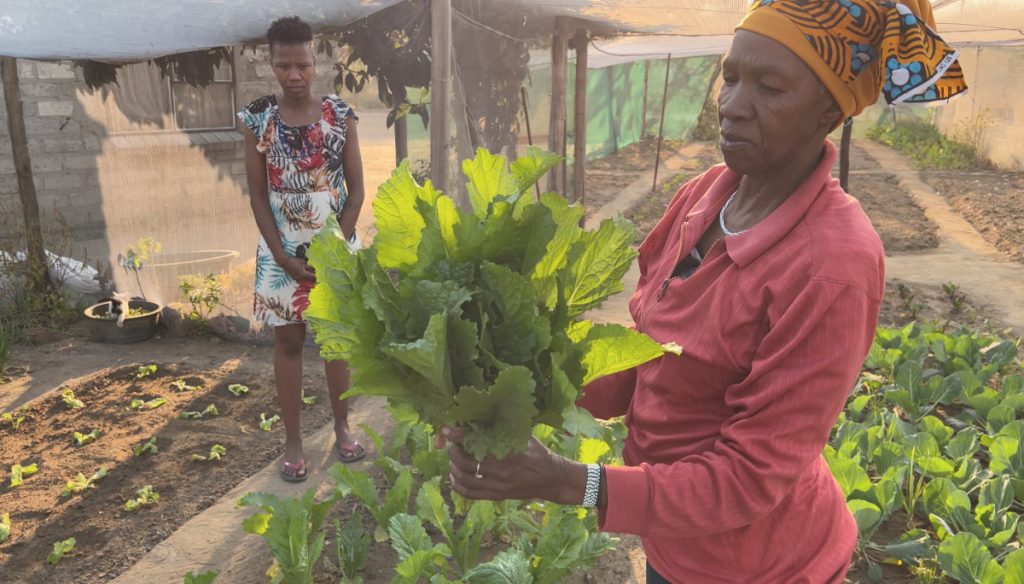 Socio-Economic Development for Communities in South Africa